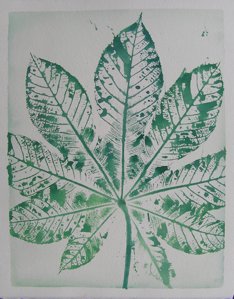 Index of /wp-content/gallery/gabon/